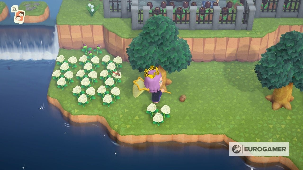 Animal Crossing - Acorns and pine cones: How to get acorns and pine ...