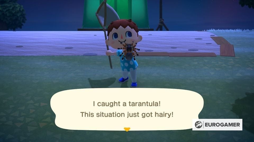 Animal Crossing Bugs list: All bug prices, locations, and how to catch ...