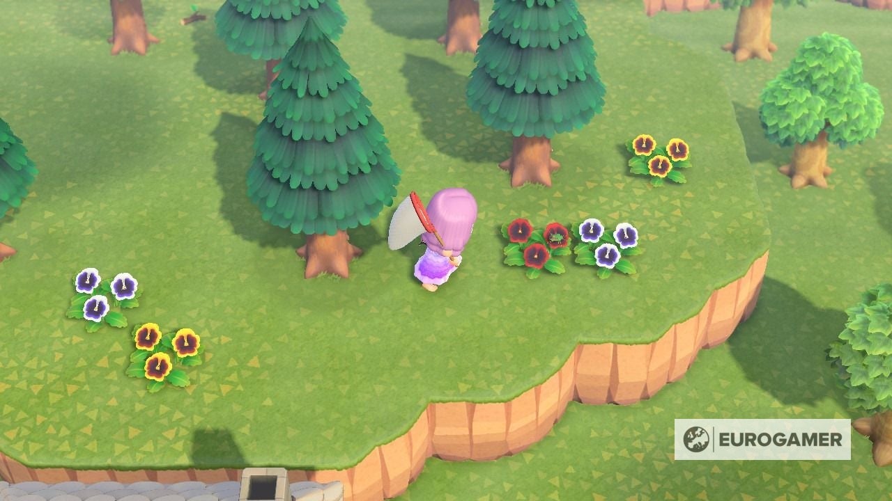 Animal Crossing Bugs list: All bug prices, locations, and how to catch ...