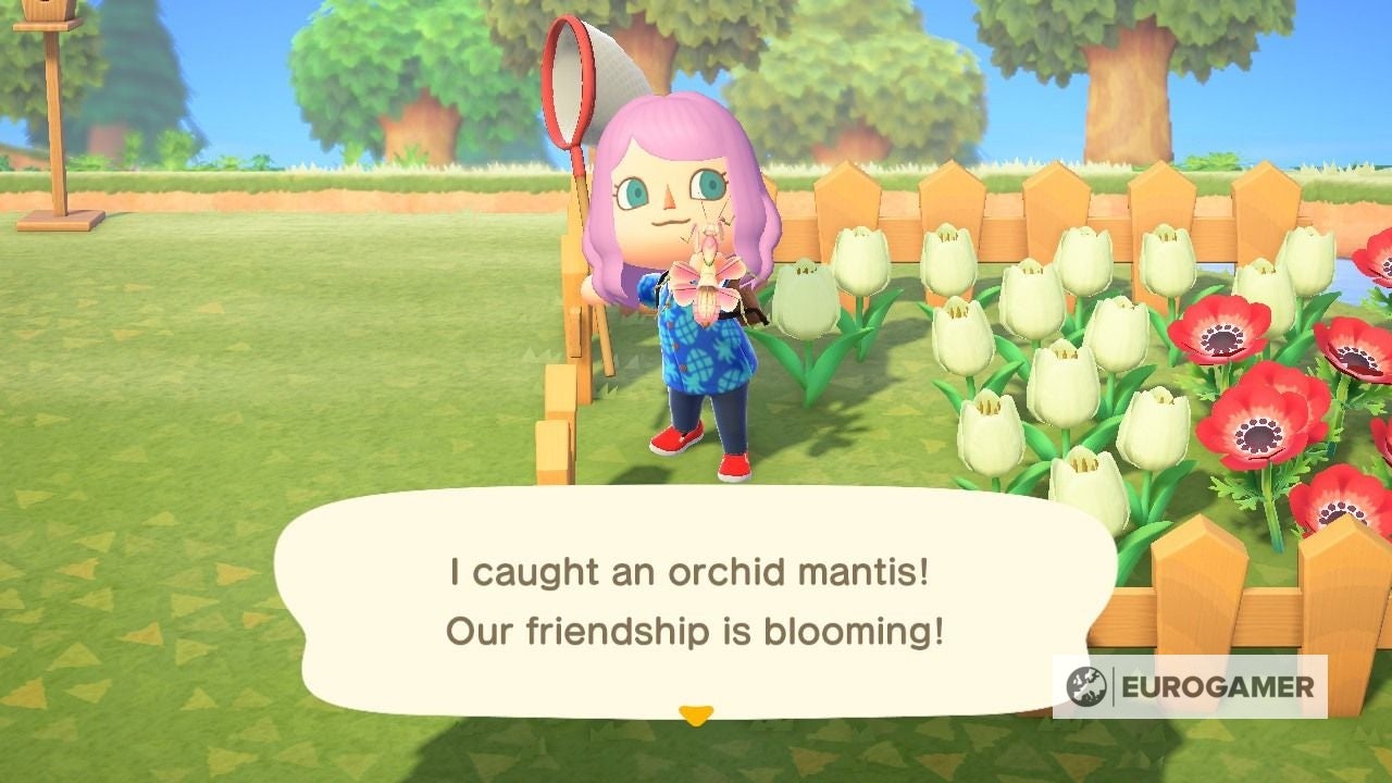 Animal Crossing Bugs list: All bug prices, locations, and how to catch ...