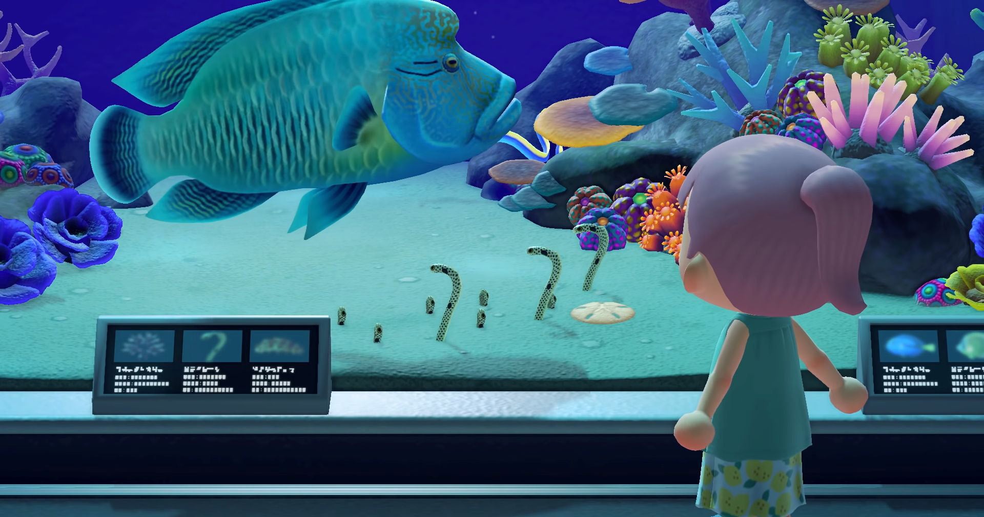 Animal Crossing Sea Creature list: All sea creature prices, times and ...