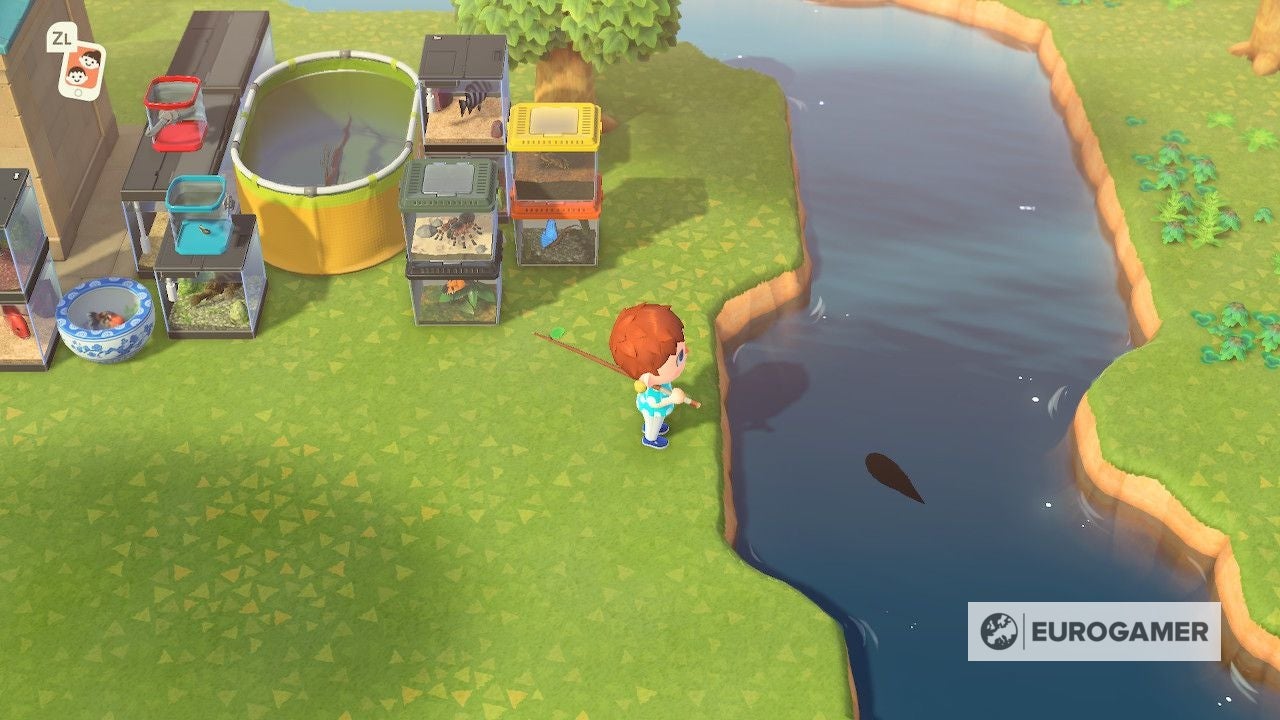 Animal Crossing Fish list: All fish prices, locations, and how to catch ...