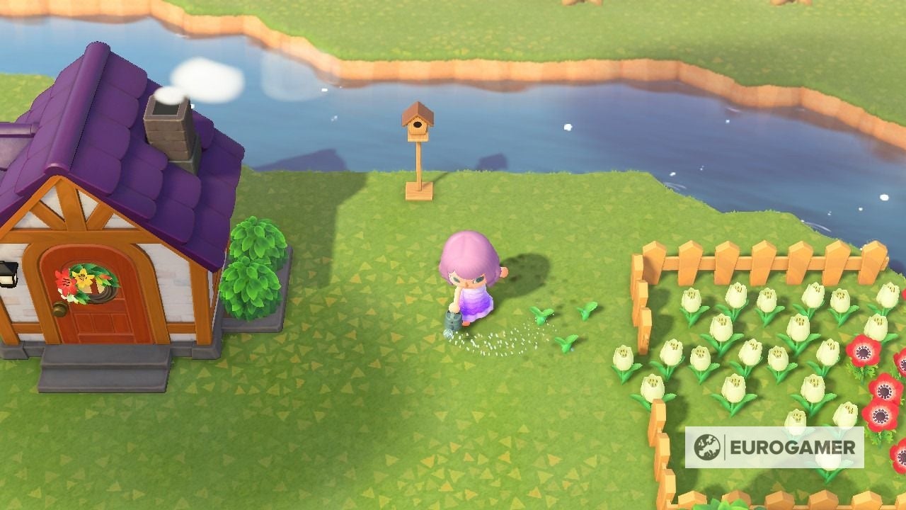 Animal Crossing Flowers: Hybrids, crossbreeding and colour combinations ...