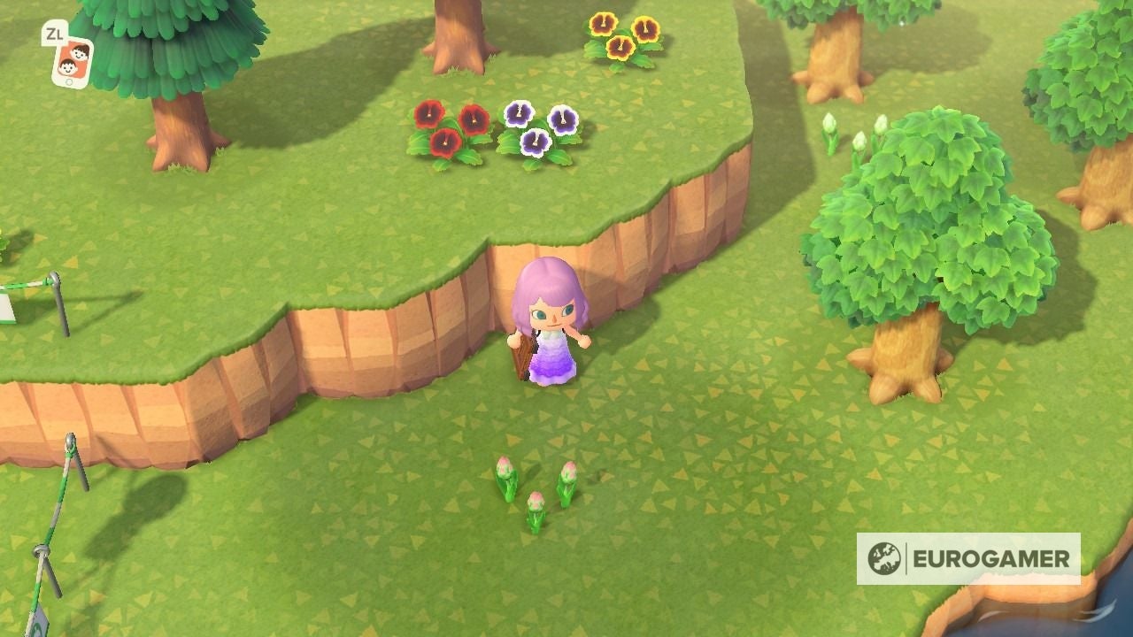 Animal Crossing Flowers: Hybrids, crossbreeding and colour combinations ...