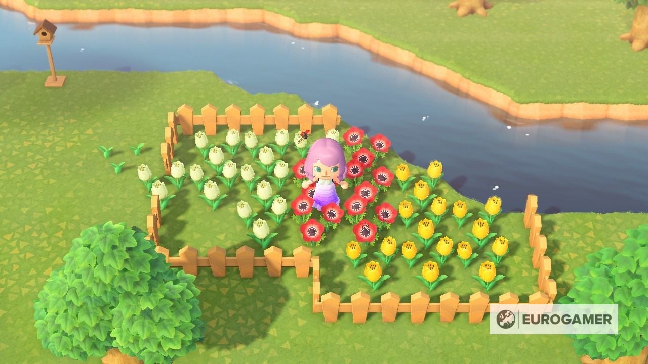 Animal Crossing Flowers: Hybrids, crossbreeding and colour combinations ...