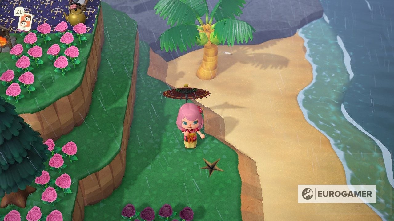 Animal Crossing fossil list: how many fossils, how to find fossils and ...