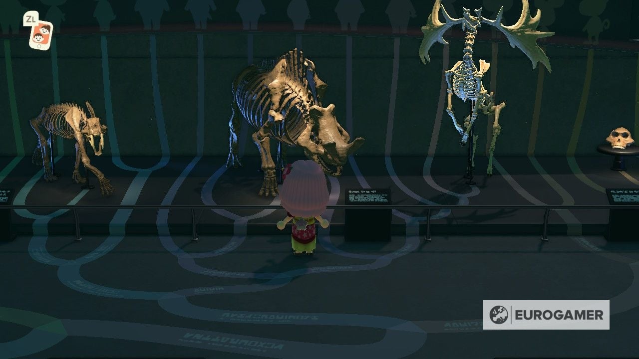 Animal Crossing fossil list: how many fossils, how to find fossils and ...