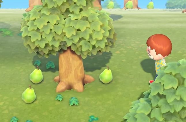 Animal Crossing fruit: Grow back time, eating benefits and how to plant ...
