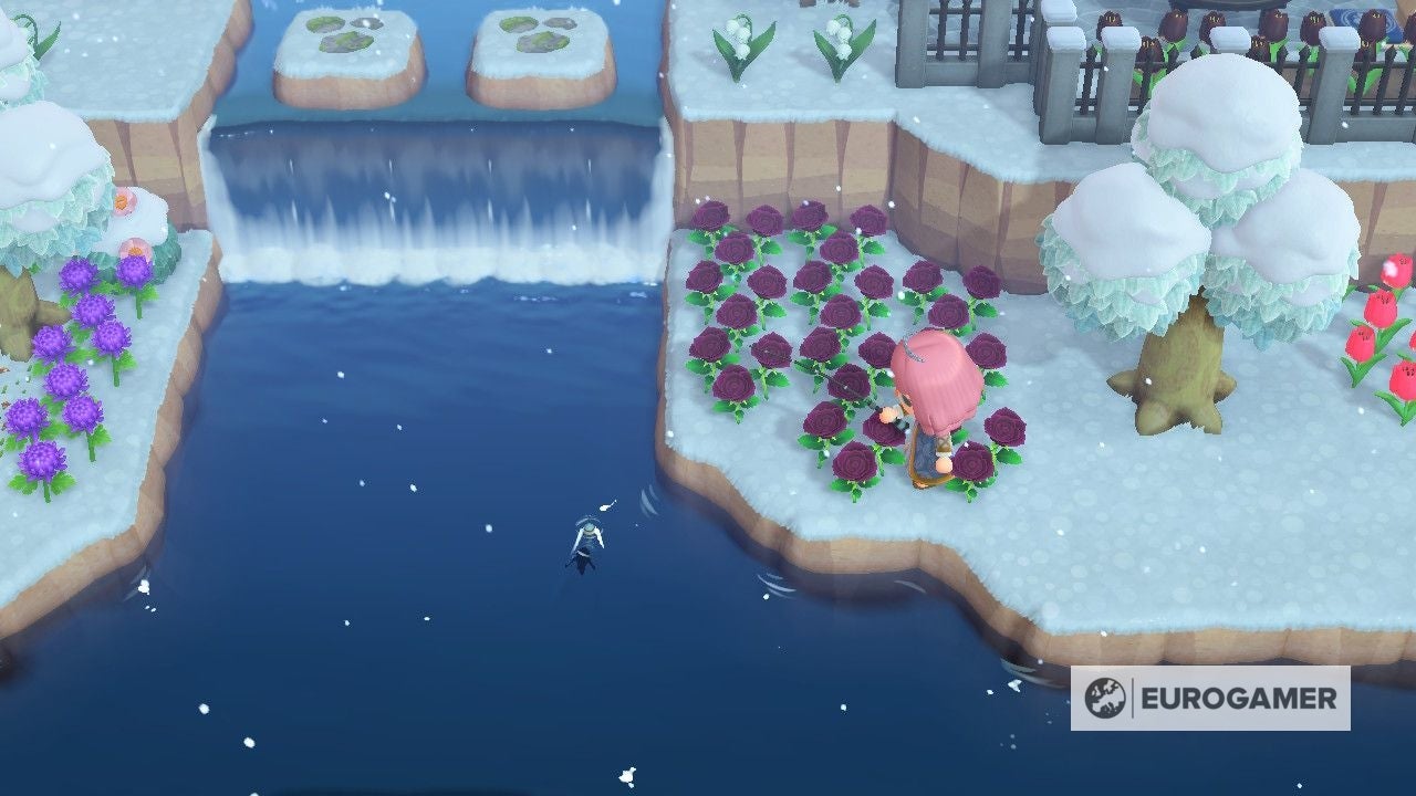 New Bugs and Fish in March: Everything arriving and leaving this month ...