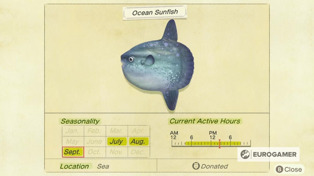 Animal Crossing Ocean Sunfish: How to catch the Ocean Sunfish in New ...