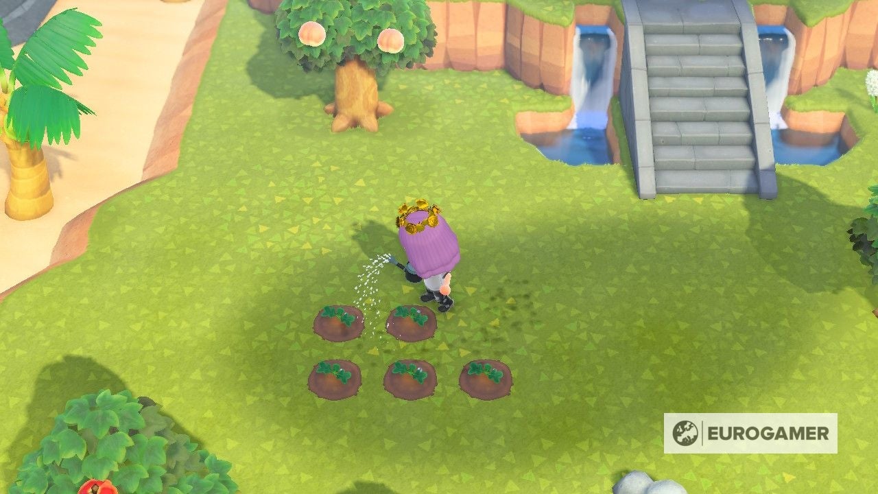 Animal Crossing Pumpkins: How to grow pumpkins, pumpkin colours and how ...