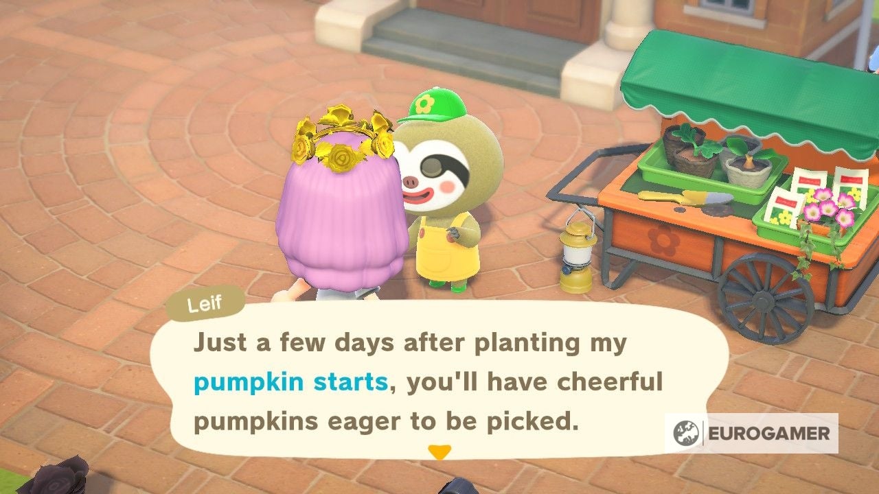 Animal Crossing Pumpkins: How to grow pumpkins, pumpkin colours and how ...
