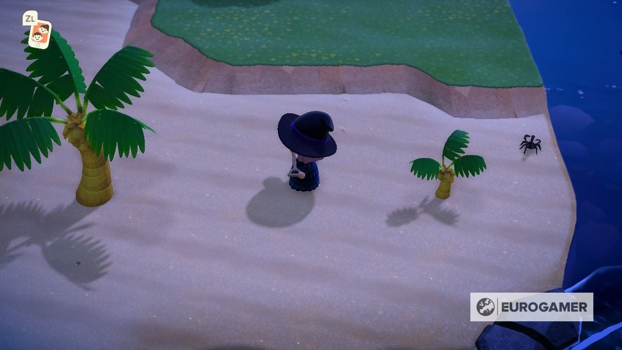 Animal Crossing Scorpions: How to catch, spawn and get Scorpion Island ...