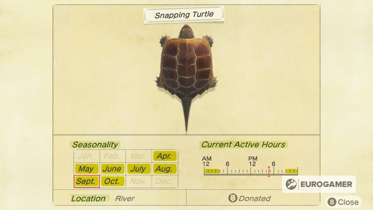 Animal Crossing Turtles: How to catch a Soft-shelled Turtle and ...