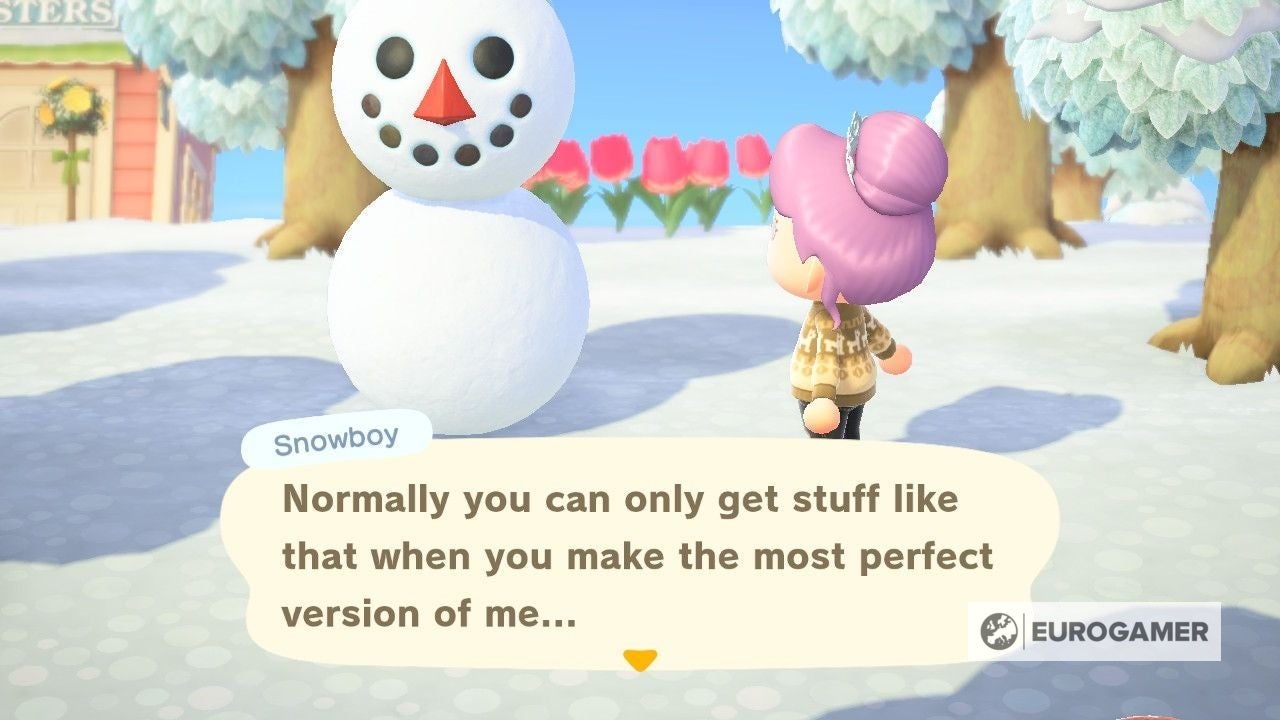 Animal Crossing Snowboys: How to make a perfect Snowboy and find the ...