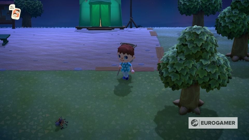 Animal Crossing: Tarántulas: cómo cazar y provocar la aparición de ...