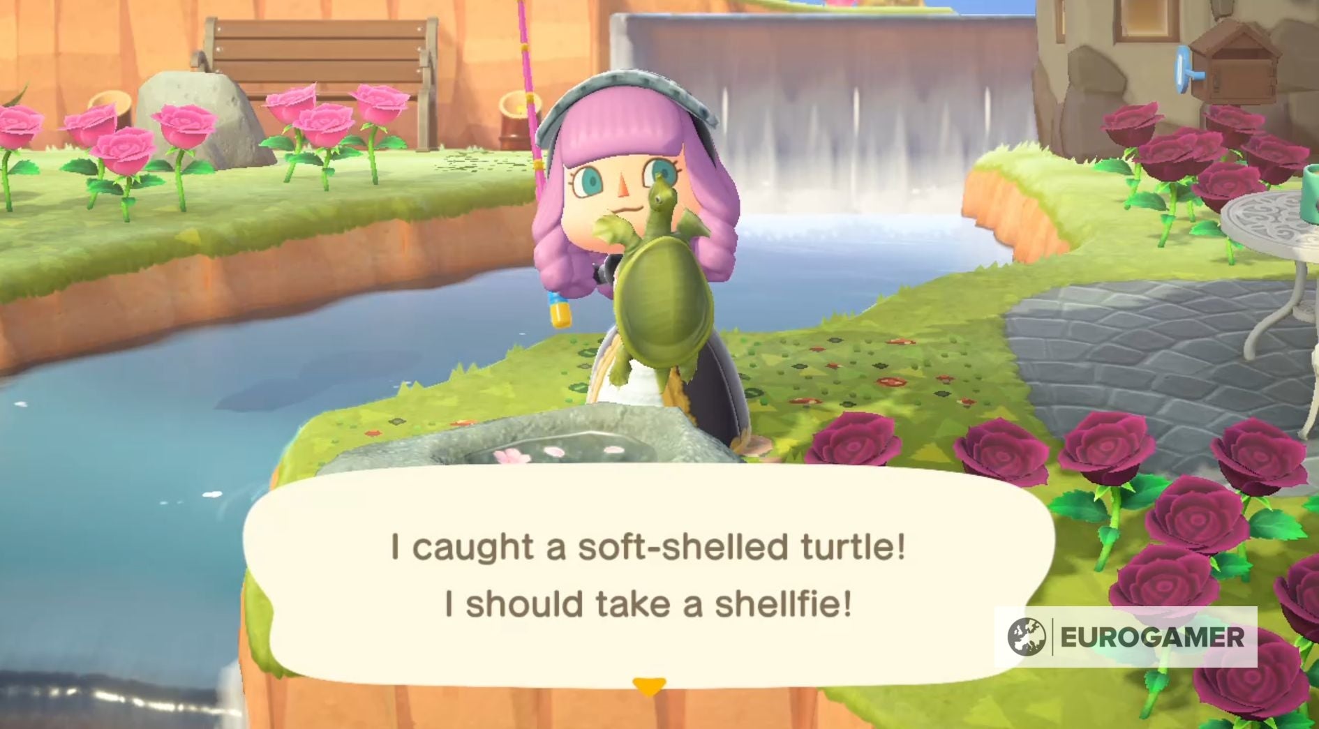 Animal Crossing Turtles: How to catch a Soft-shelled Turtle and ...