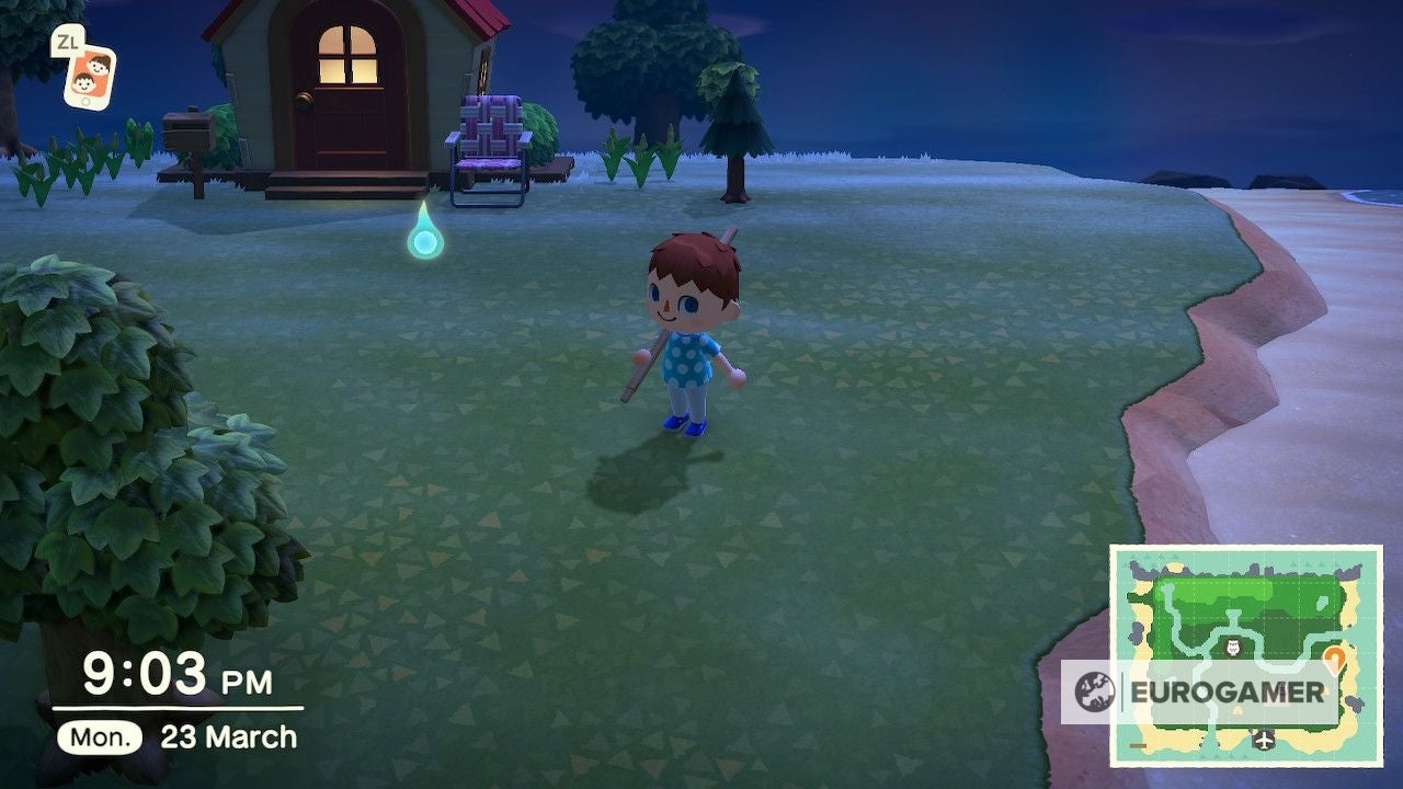 Animal Crossing Wisp: how to catch Wisp's spirit and reward in New ...
