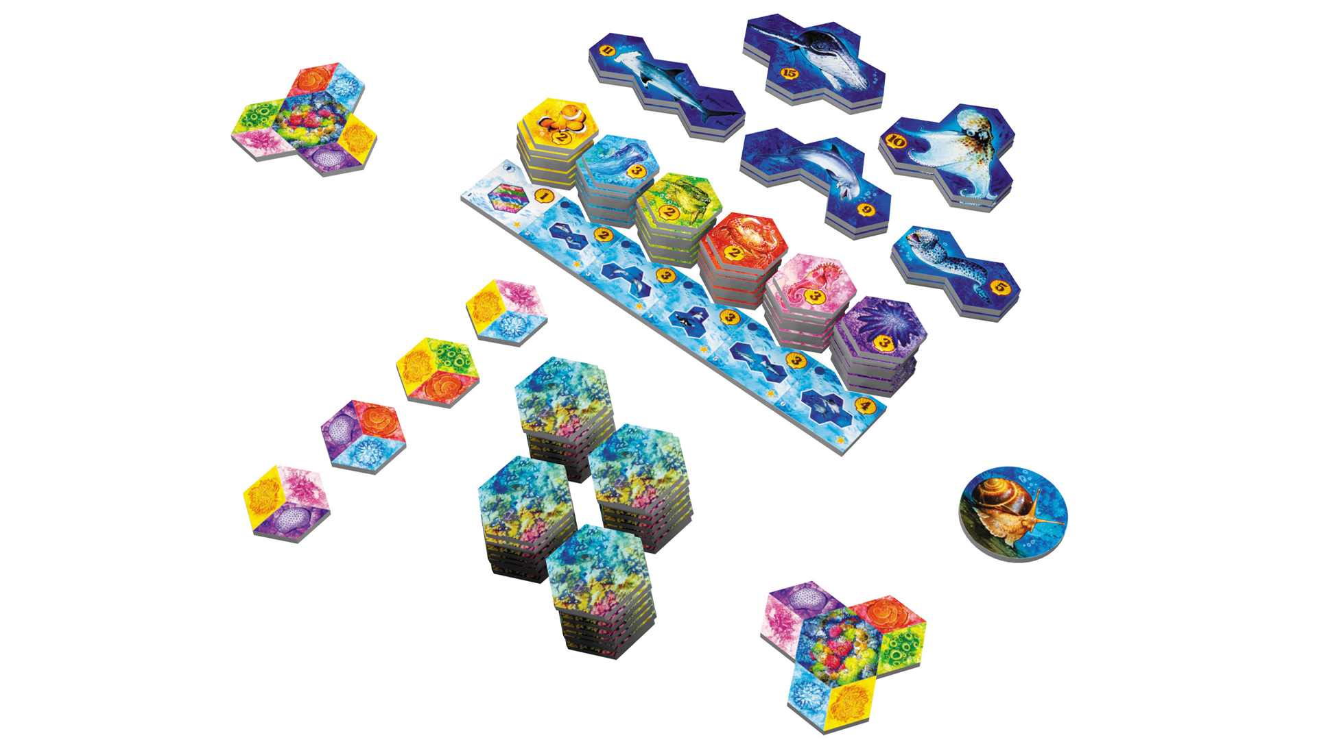 Aqua is a deeply satisfying board game about supporting sealife ...