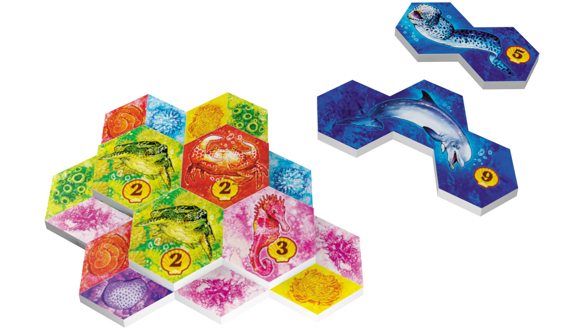 Aqua is a deeply satisfying board game about supporting sealife ...