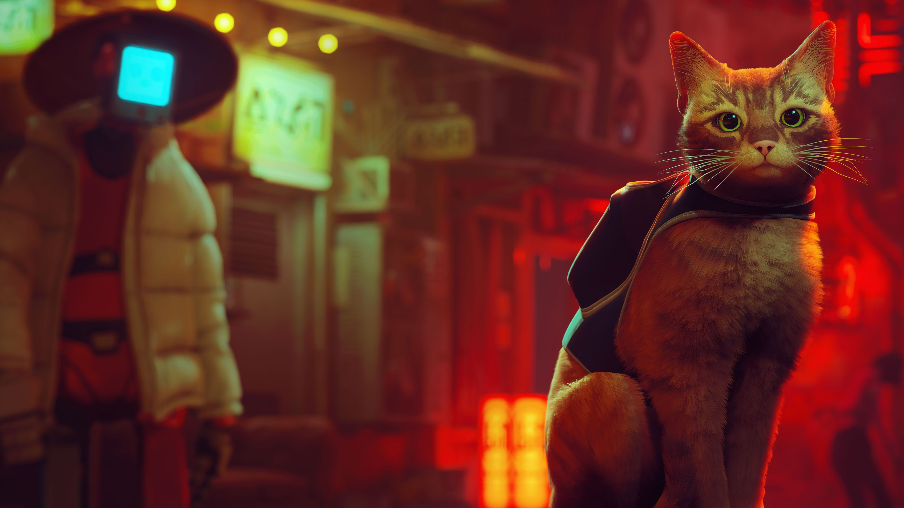 Stray | VG247