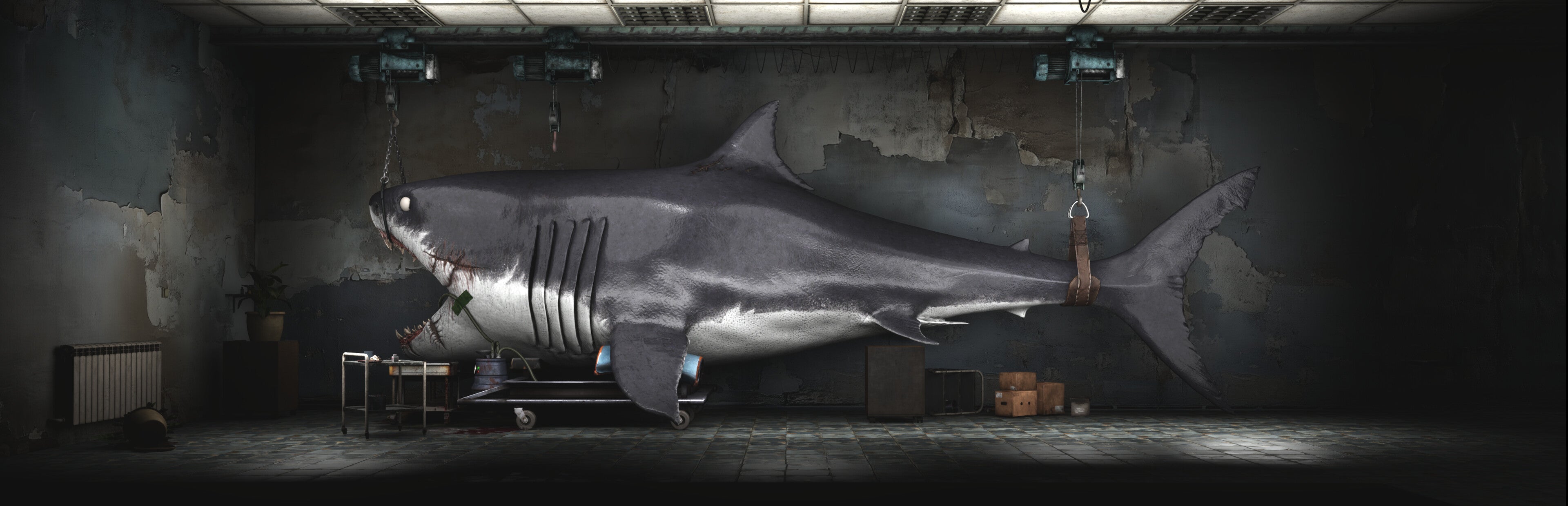 Shark Dentist | Rock Paper Shotgun