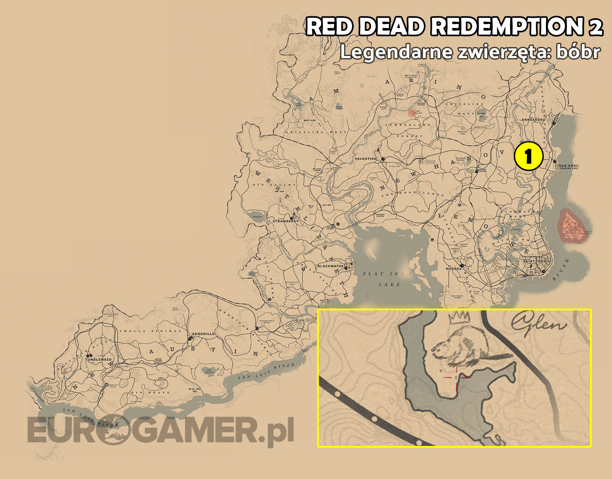 Red Dead Redemption 2 - legendarne zwierzęta: bóbr | Eurogamer.pl