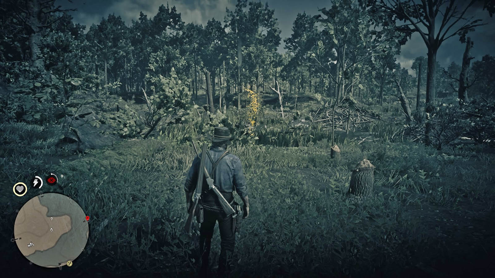 Red Dead Redemption 2 - legendarne zwierzęta: bóbr | Eurogamer.pl