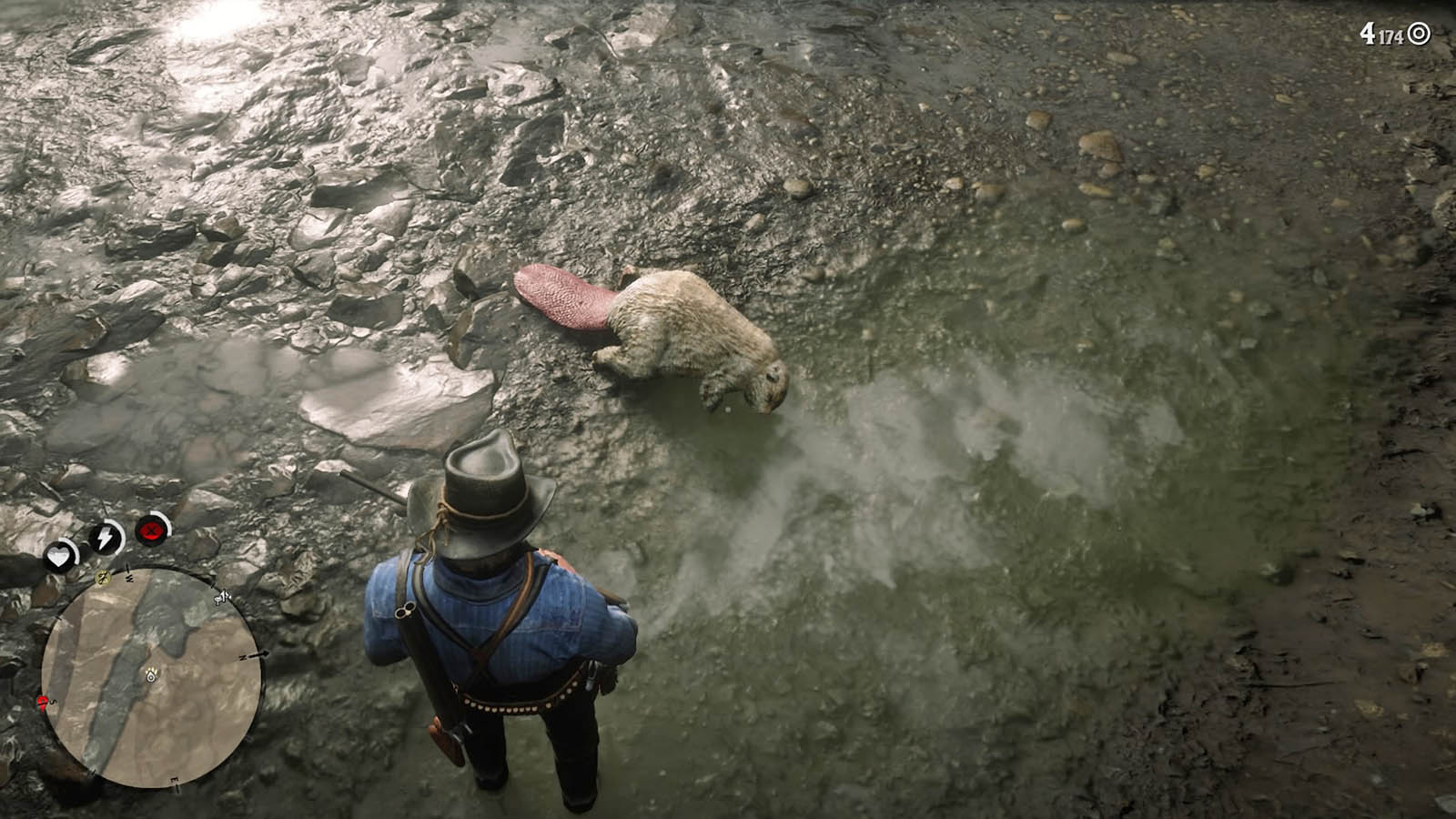 Red Dead Redemption 2 - legendarne zwierzęta: bóbr | Eurogamer.pl