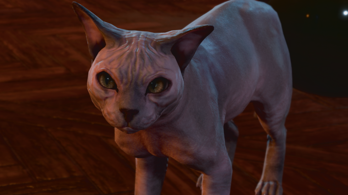 Latest Baldur's Gate 3 hotfix makes His Majesty the cat bald once again ...