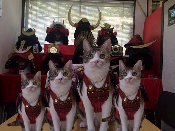 BattleCat is a Splinter Cell, The Division and Ghost Recon crossover ...