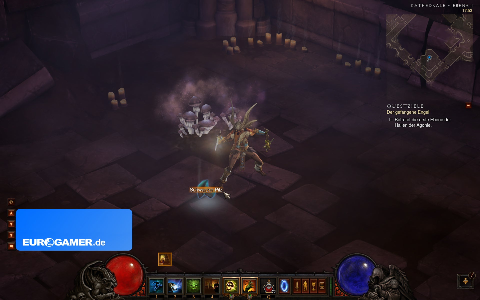 Diablo 3 Pony-Level - Hirtenstab: Schwarzer Pilz, Leorics Schienbein ...