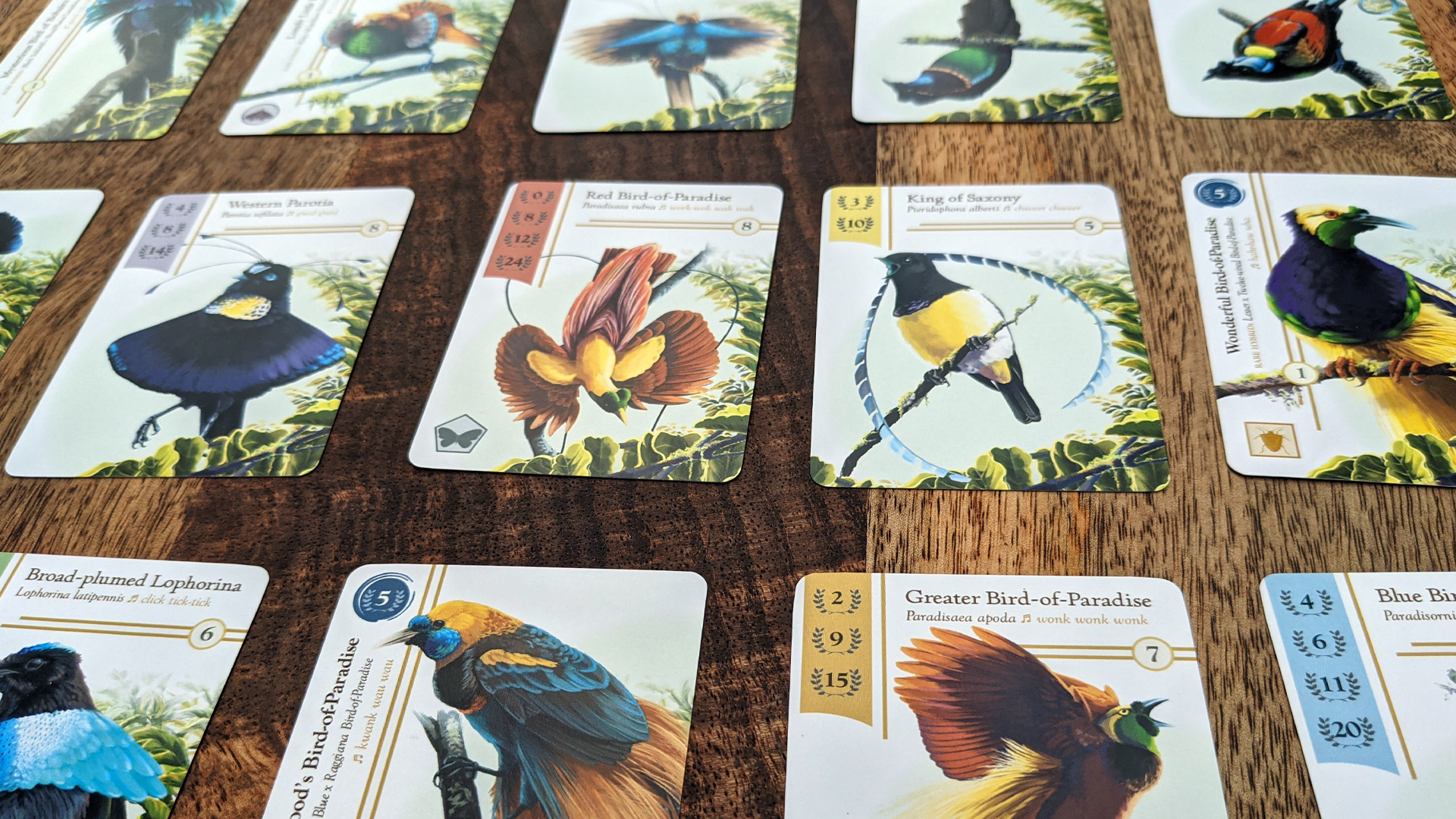 Wingspan will be joined by another bird-themed board game, Birdwatcher ...