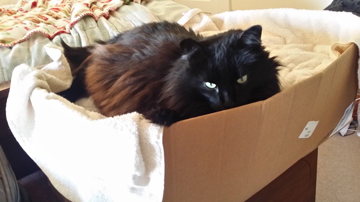 Square Enix's Spring Surprise Box contains five PC games for $10 | VG247