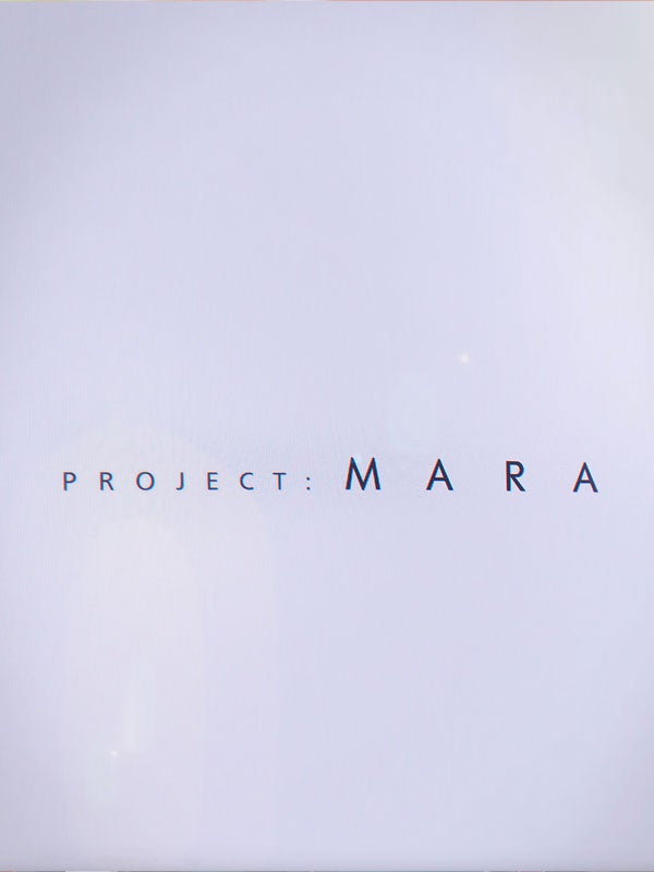 Project: Mara | Rock Paper Shotgun