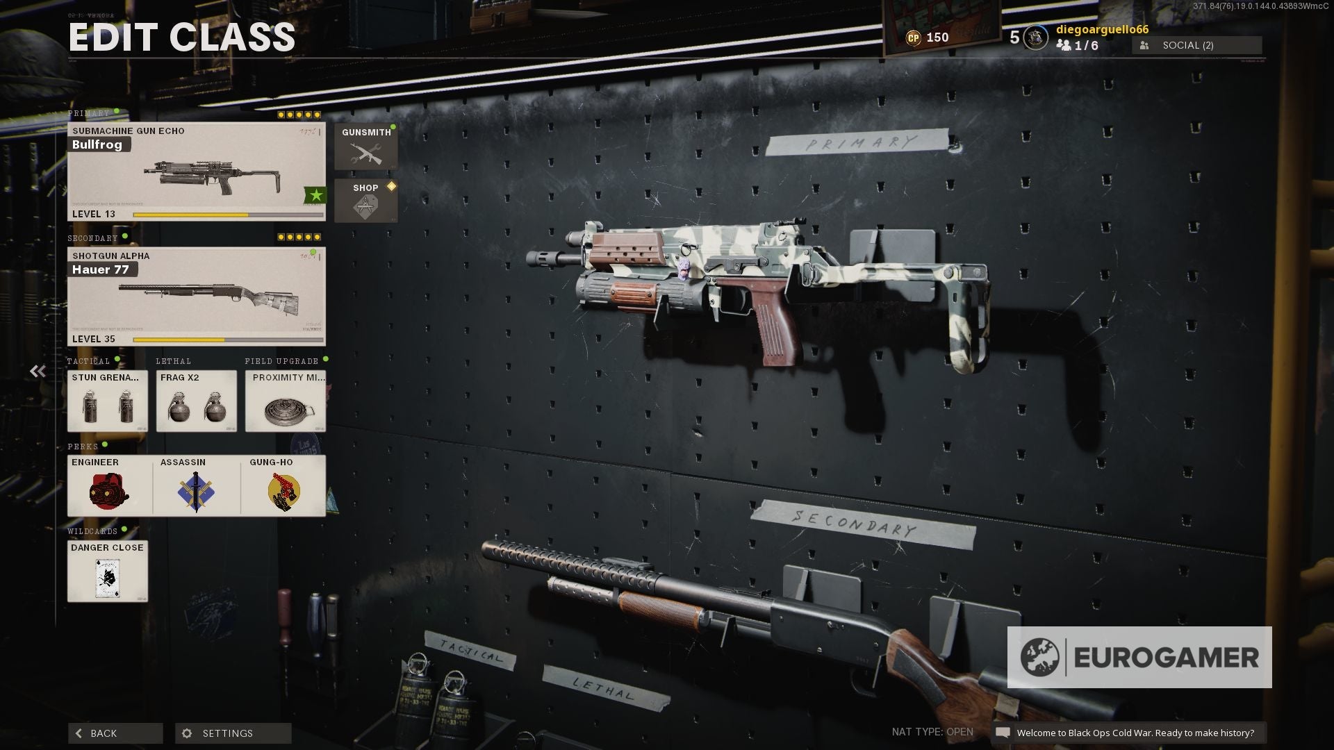 Warzone best Bullfrog loadout: Our Bullfrog class setup recommendation ...