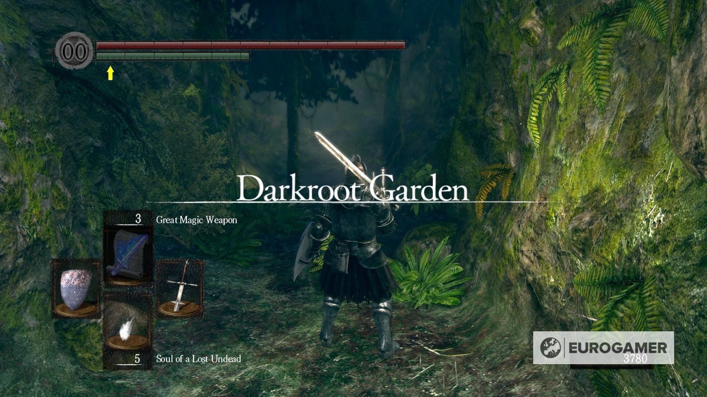 Dark Souls - Darkroot Garden strategy | Eurogamer.net