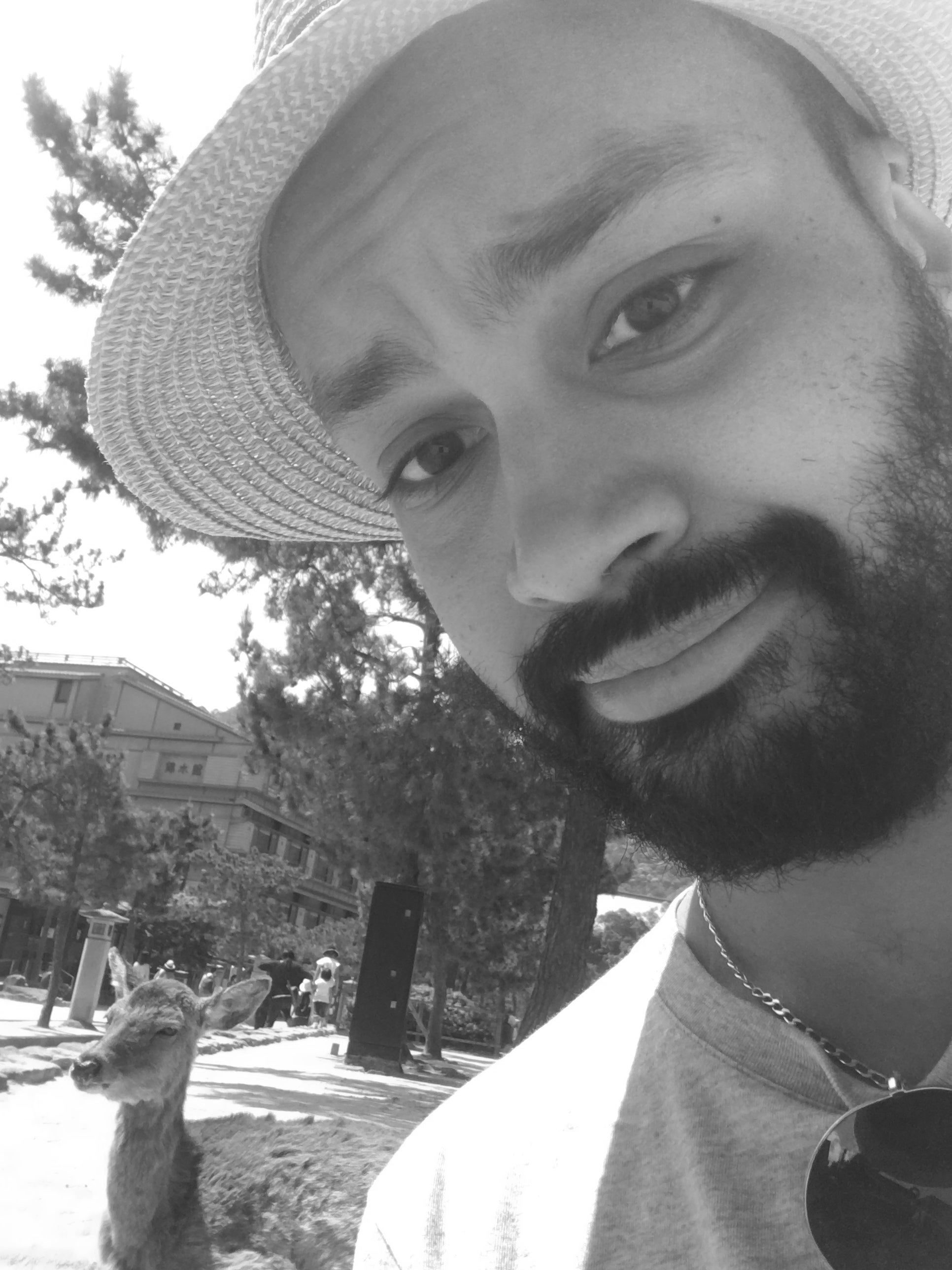 Dueling Grounds codes (January 2026) | Rock Paper Shotgun