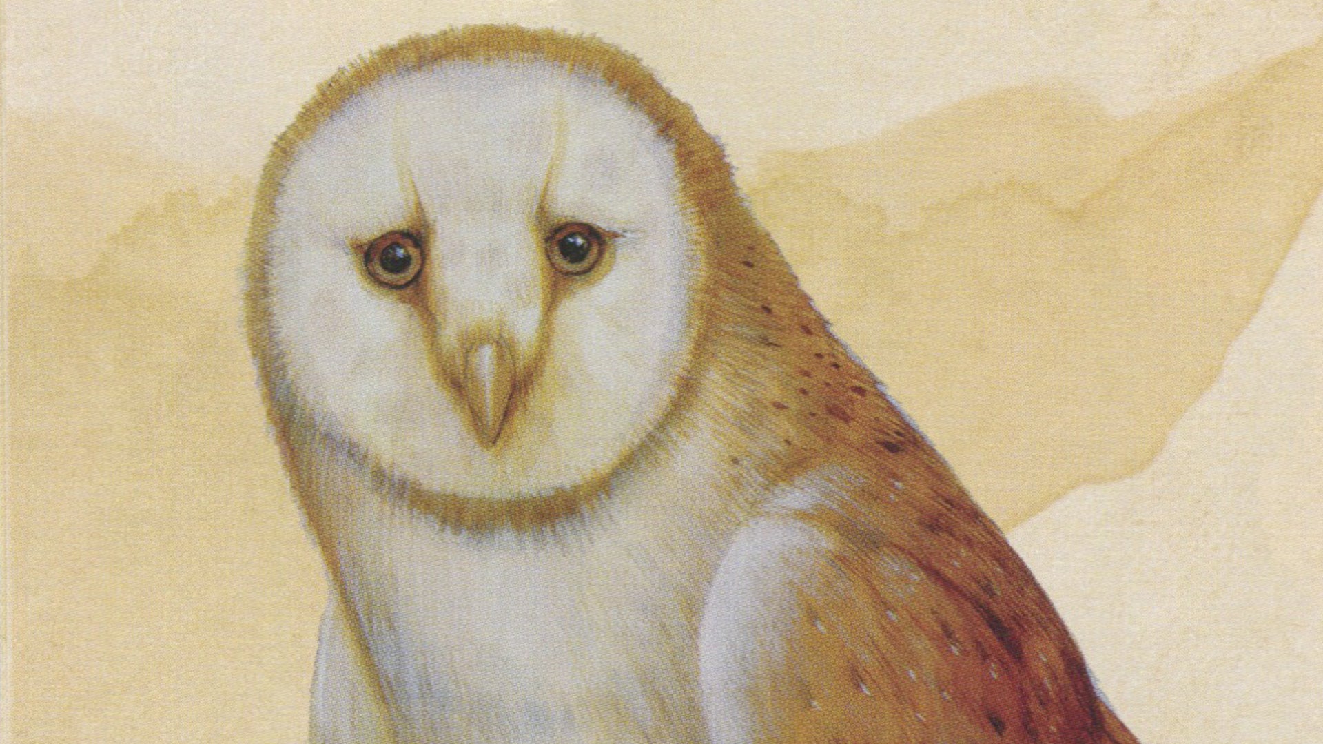 Dungeons & Dragons 5E ranger class explained | Dicebreaker