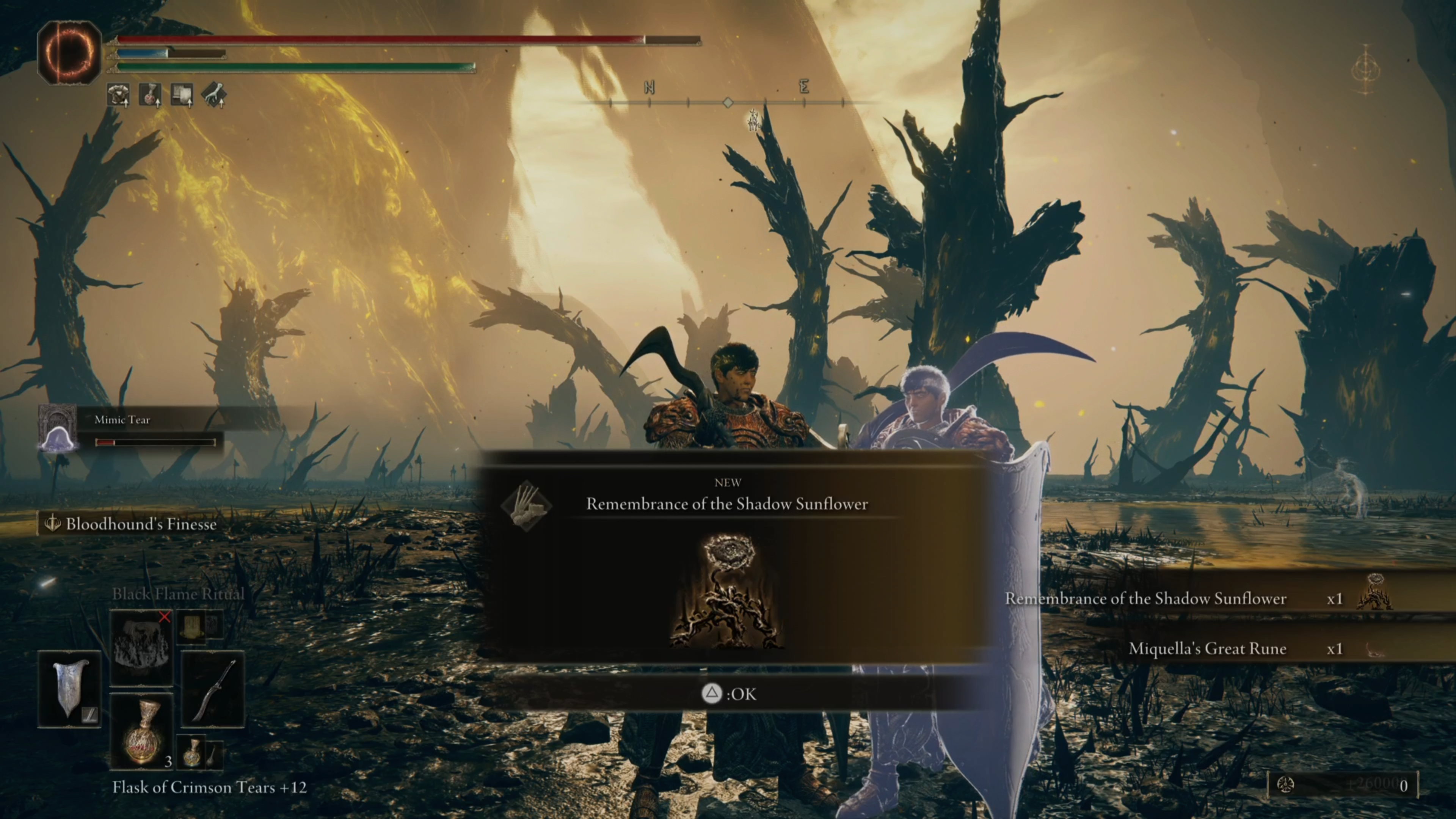 How to beat Scadutree Avatar in Elden Ring Shadow of the Erdtree ...