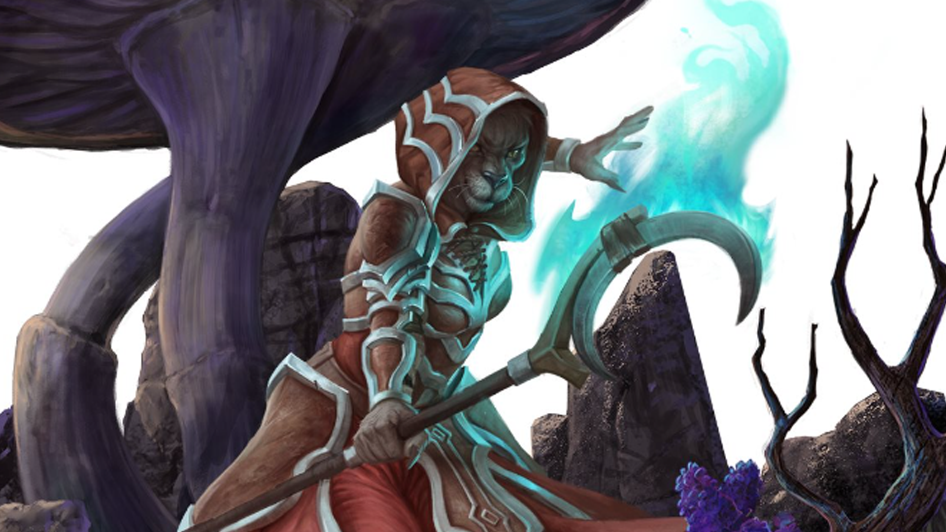 Elder Scrolls board game will take place in Skyrim, Cyrodiil, Morrowind ...