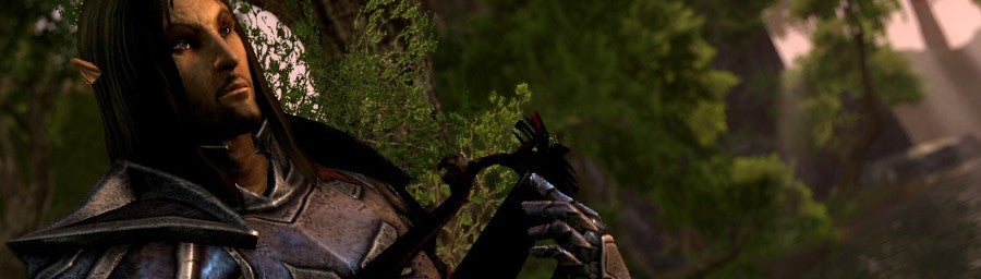 Elder Scrolls Online developer video explores group content | VG247