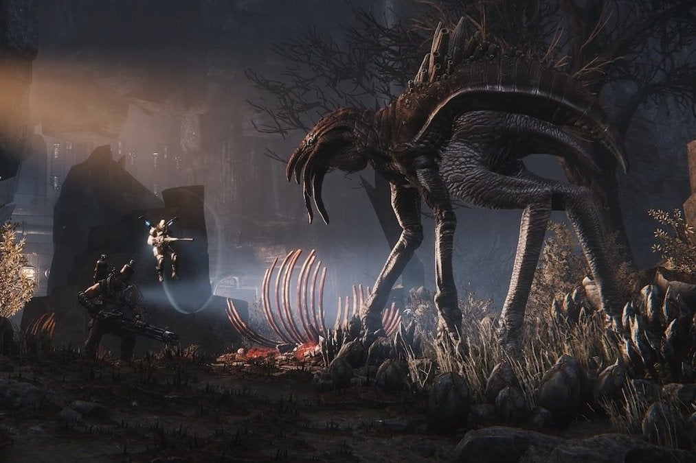 Evolve Alpha Logo Alpha Evolution – High Performance Coaching For