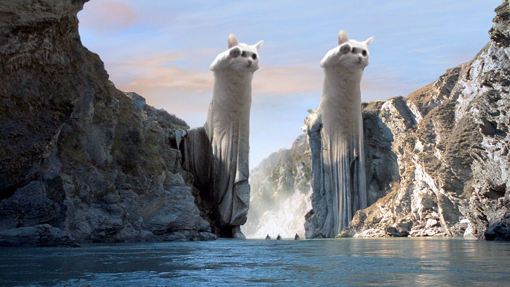 Longcat Meme Wallpaper 1920x1080 Memes Cat Wallpapers HD / Desktop And
