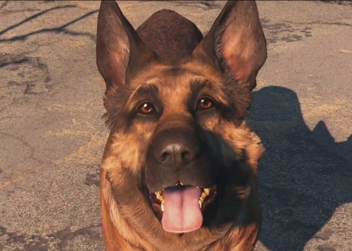 Fallout 4 behind the scenes video introduces the real Dogmeat | VG247