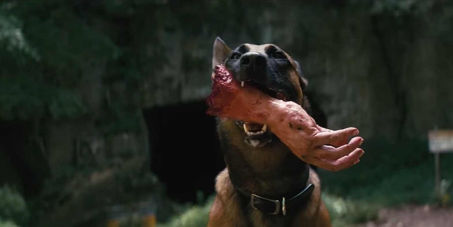 Fallout trailer makes us wish Prime was airing the show sooner | VG247