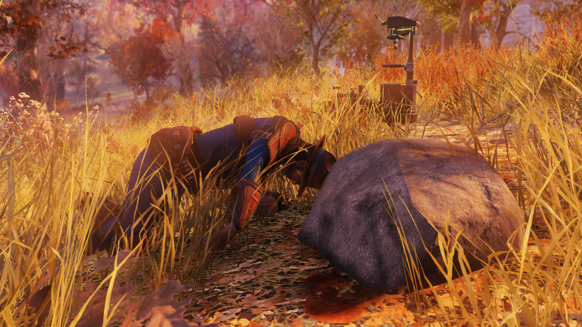 Fallout 76 details new PvP focused Survival mode | Rock Paper Shotgun