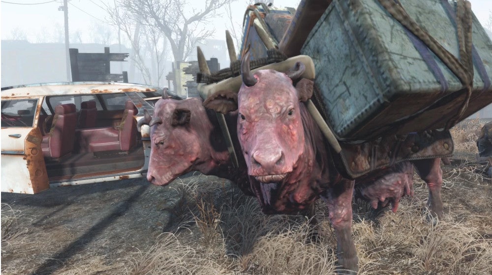 Fallout 76 - gracz stworzył klub disco z tańczącymi truchłami krów ...