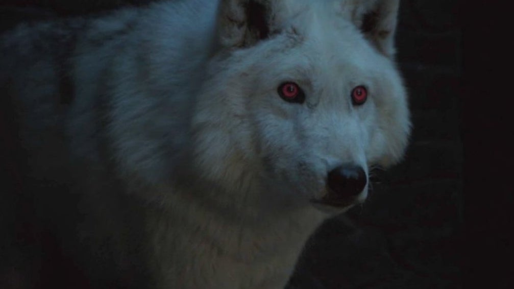 Fãs de Game of Thrones chateados com a despedida de Ghost | Eurogamer.pt
