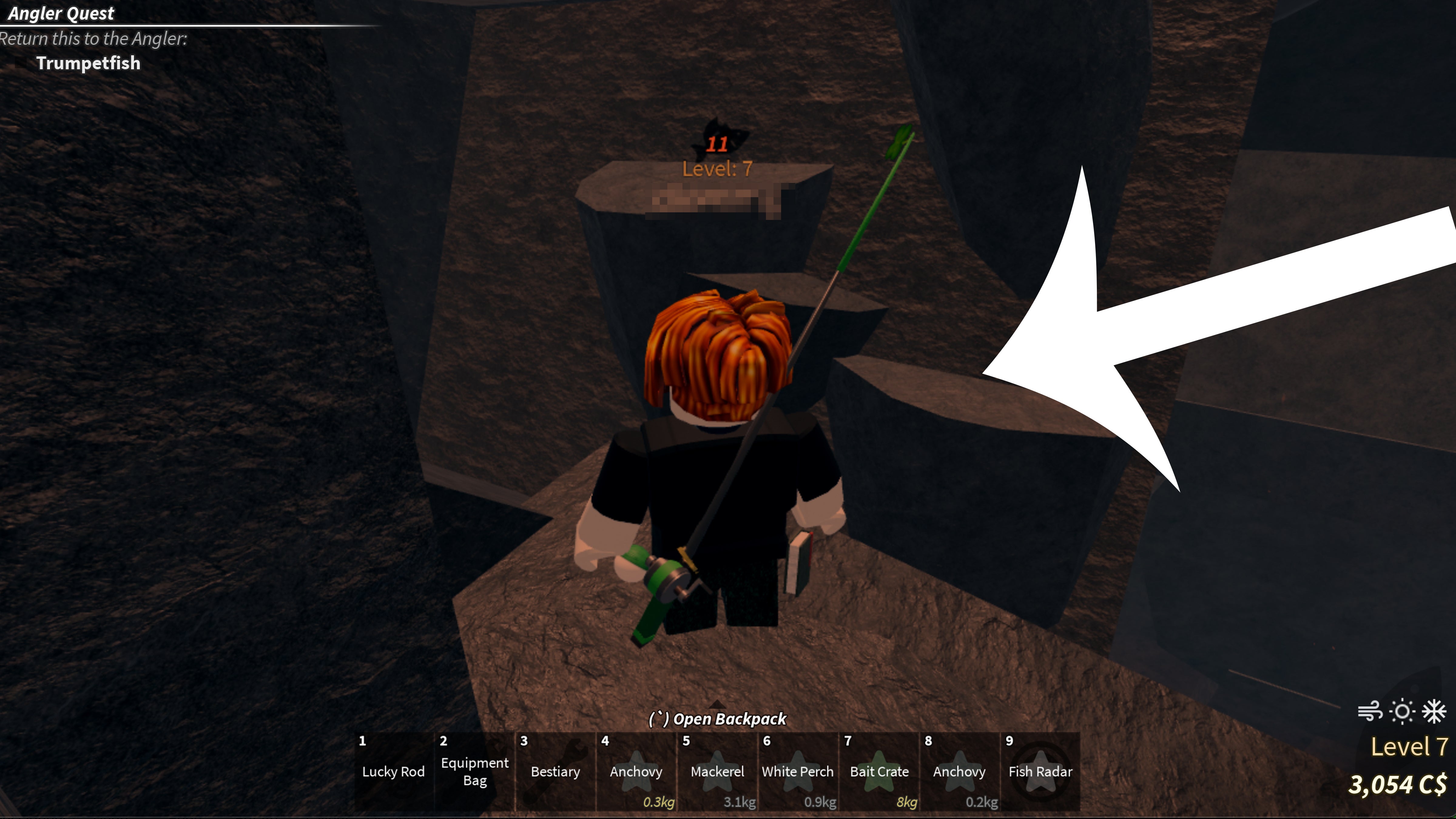 Roblox Fisch Totem locations | VG247